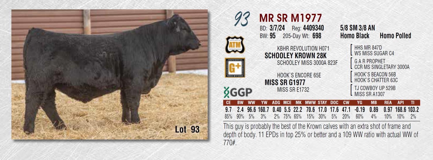 Lot 93: Lazy J Bar Ranch / Flittie Simmentals / Schnabel Simmentals ...