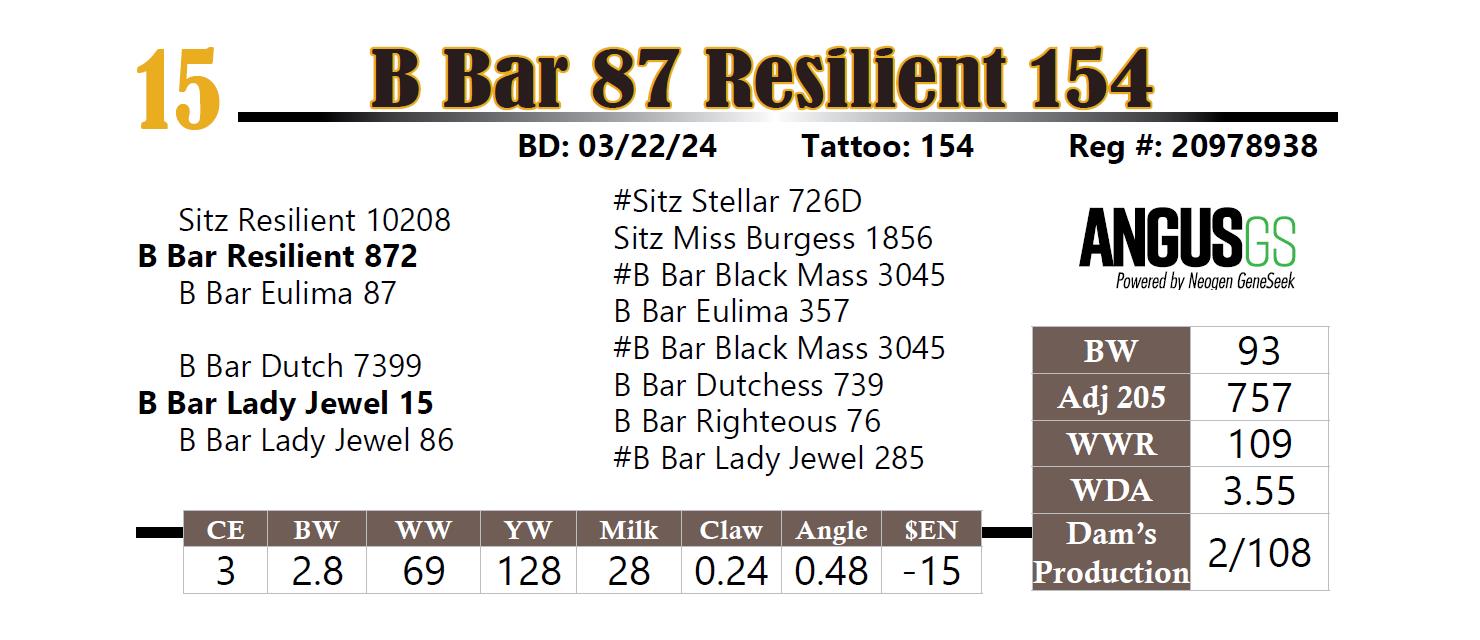 Lot 15: Lund's B Bar Angus - Annual Bull Sale | DVAuction
