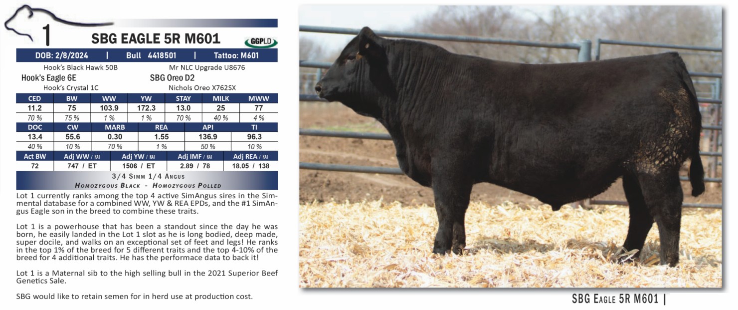 Lot 1: Superior Beef Genetics - Annual Spring Sale | DVAuction