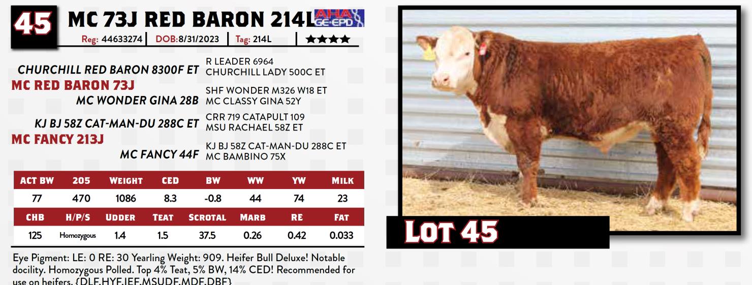 Lot 45: McClun's Lazy J M Ranch - Annual Spring Bull Sale | DVAuction