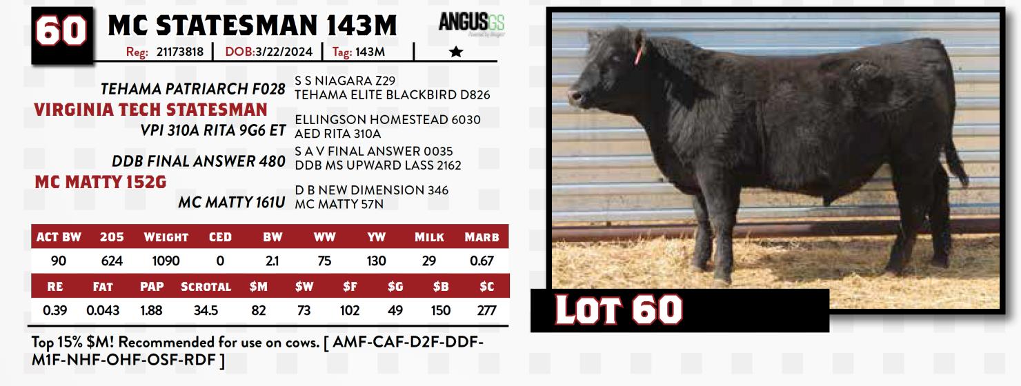 Lot 60: McClun's Lazy J M Ranch - Annual Spring Bull Sale | DVAuction
