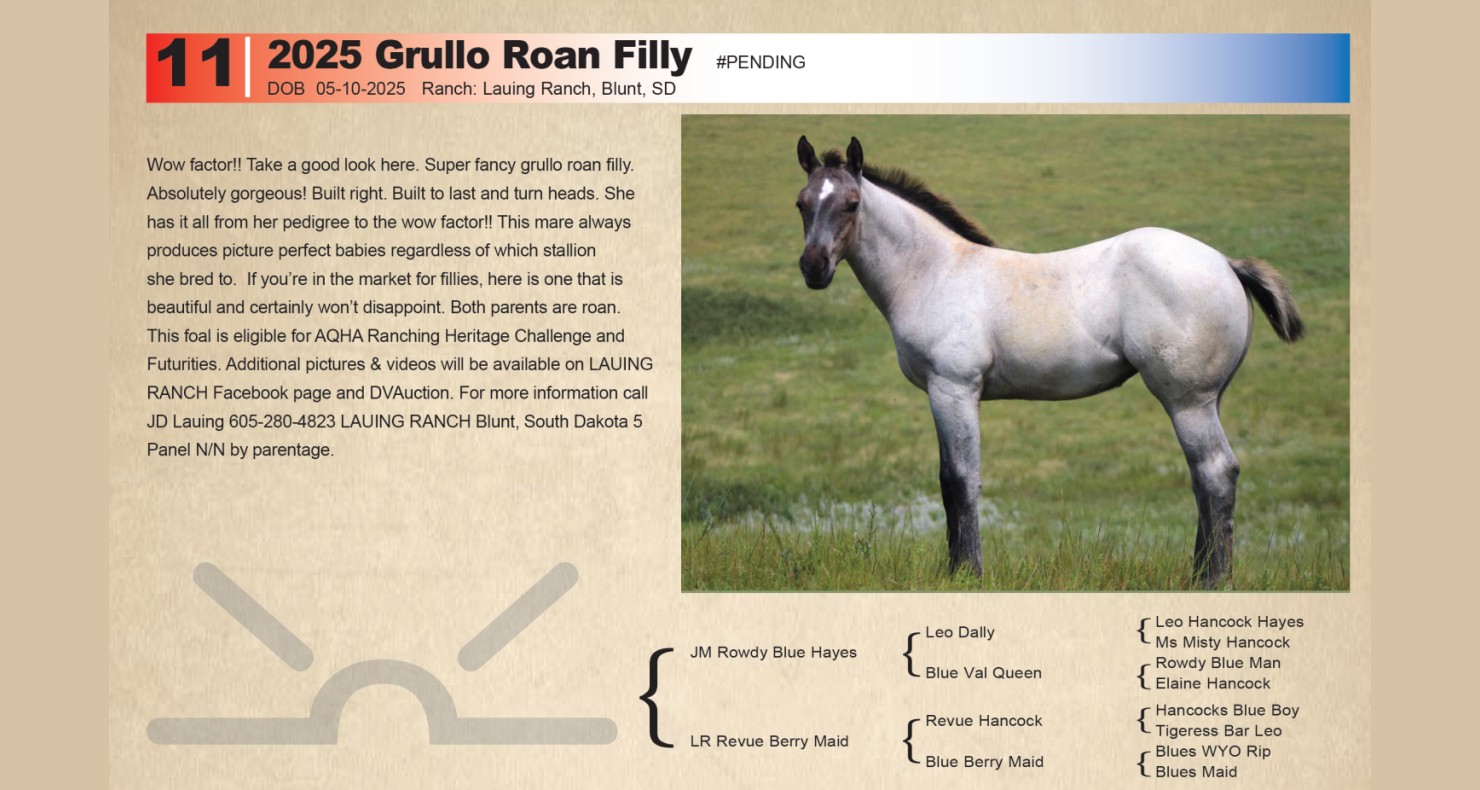 Lot 11 - Grullo Roan Filly: Blue Valentine & Driftwood - Heritage ...