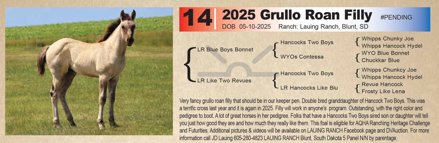 Lot 14 - Grullo Roan Filly: Blue Valentine & Driftwood - Heritage ...