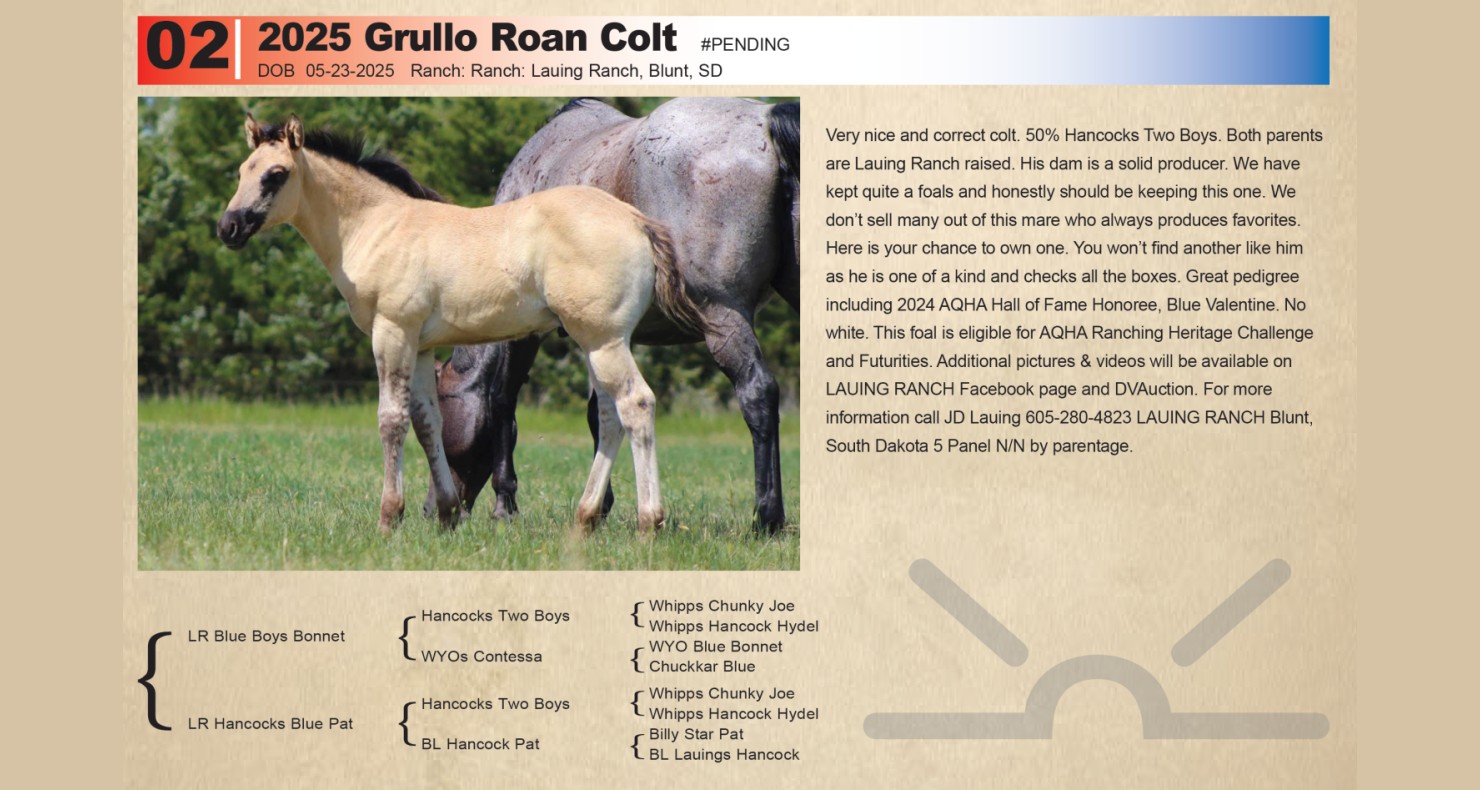 Lot 2 - Grullo Roan Colt: Blue Valentine & Driftwood - Heritage ...