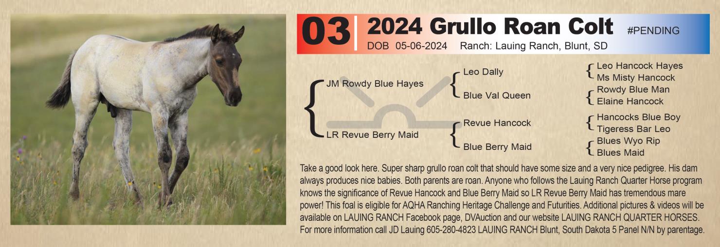 Lot 3 - 2024 GRULLO ROAN COLT: Blue Valentine & Driftwood Heritage ...