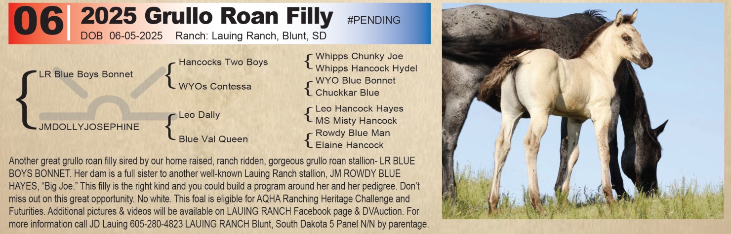 Lot 6 - Grullo Roan Filly: Blue Valentine & Driftwood - Heritage ...