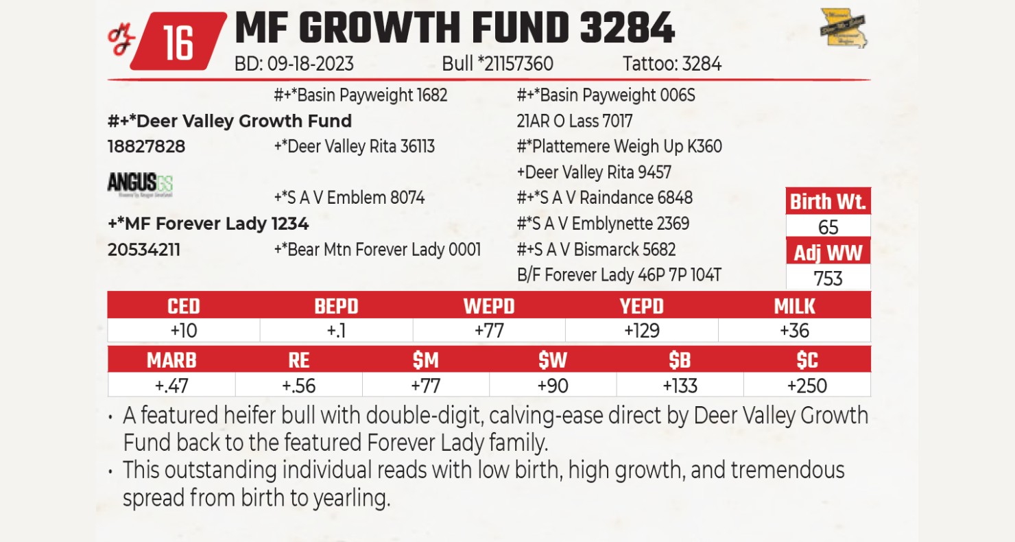 Lot 16: Marshall & Fenner Farms - Annual Production Sale | DVAuction