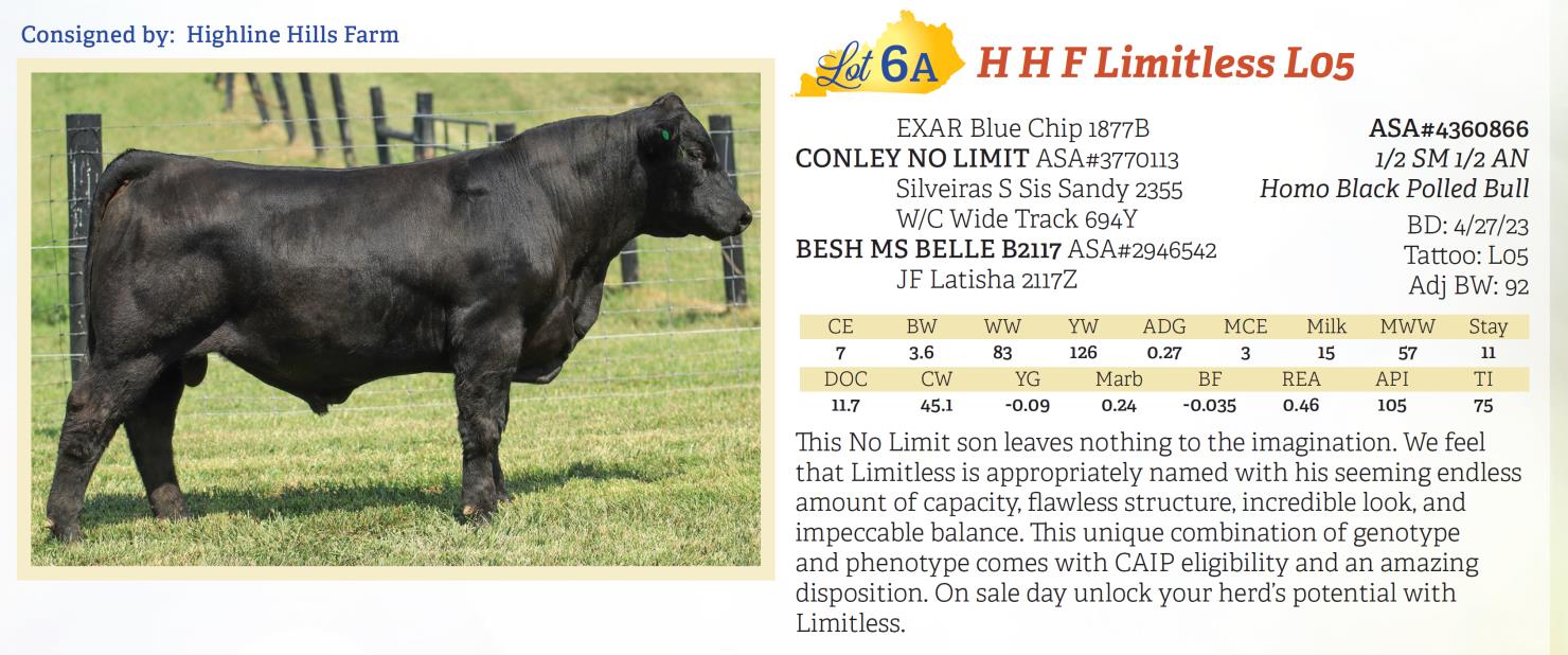 Lot 6a: Kentucky State Simmental Sale - Annual Fall Sale | DVAuction