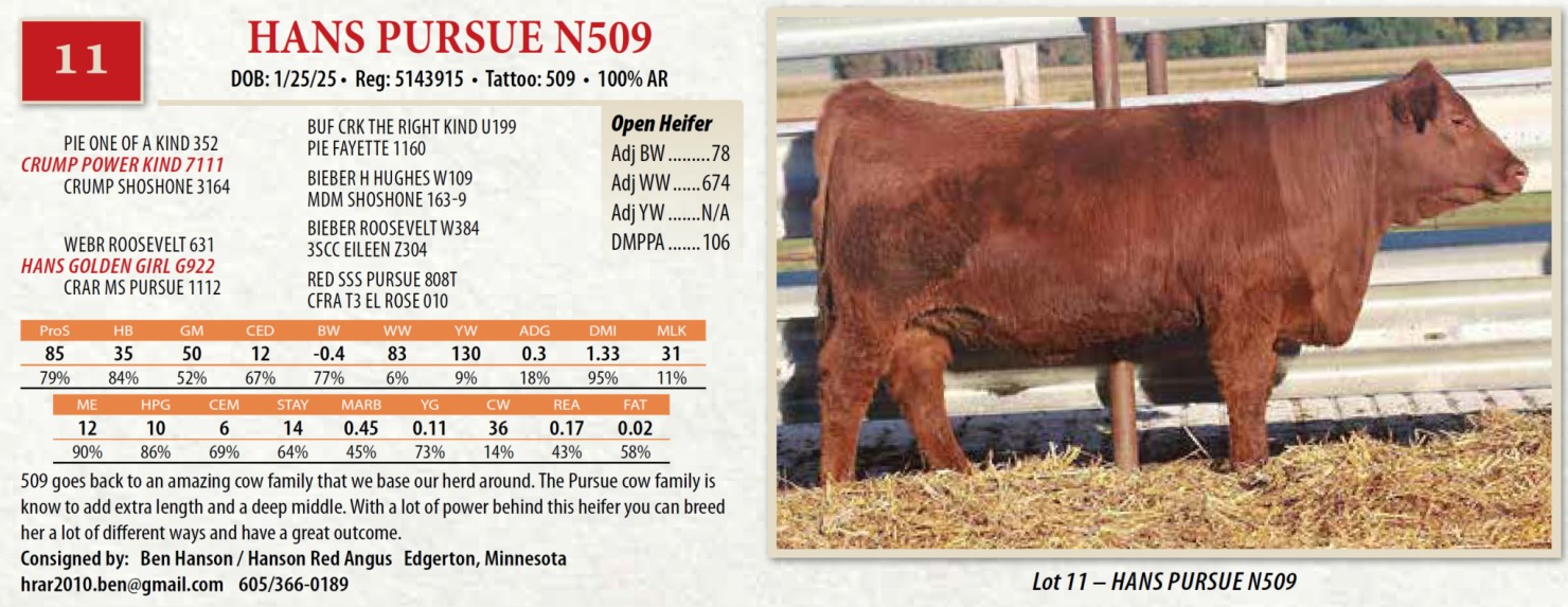 Lot 11: Reds On The Prairie Red Angus Auction - Annual Red Angus Female ...
