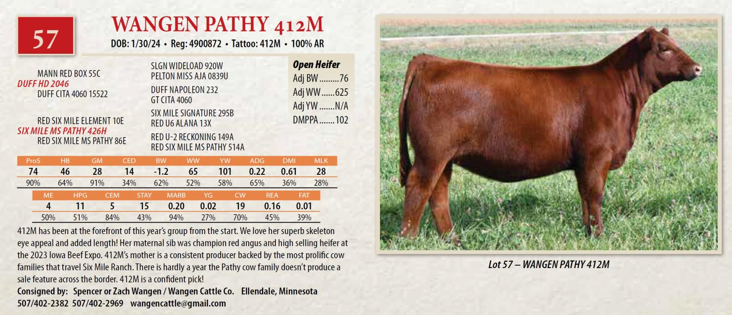 Lot 57: Reds On The Prairie Red Angus Auction - Gilchrist Auction Co ...