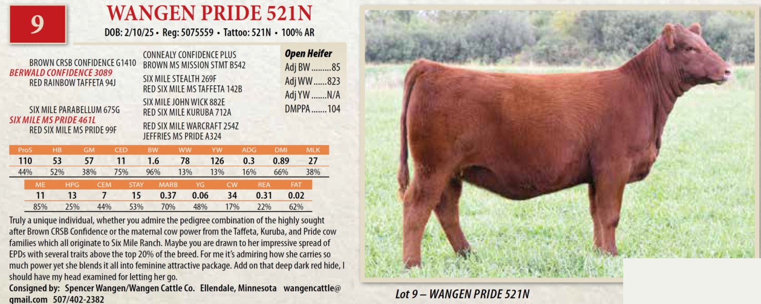 Lot 9: Reds On The Prairie Red Angus Auction - Annual Red Angus Female ...