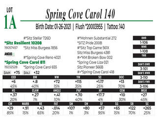 Lot 1A: Spring Cove Ranch - Female Connection Sale | DVAuction