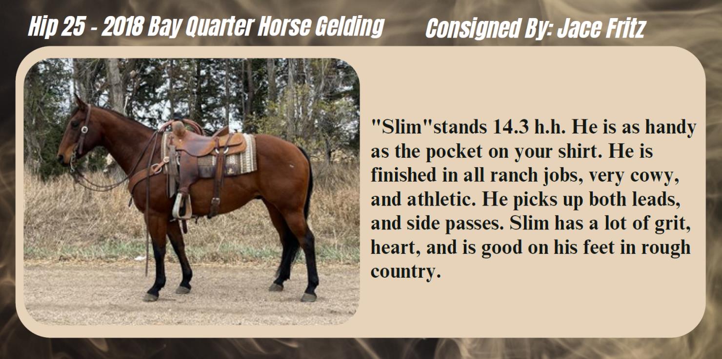 Lot 25: Mile High Select Sale - Annual Horse Sale | DVAuction