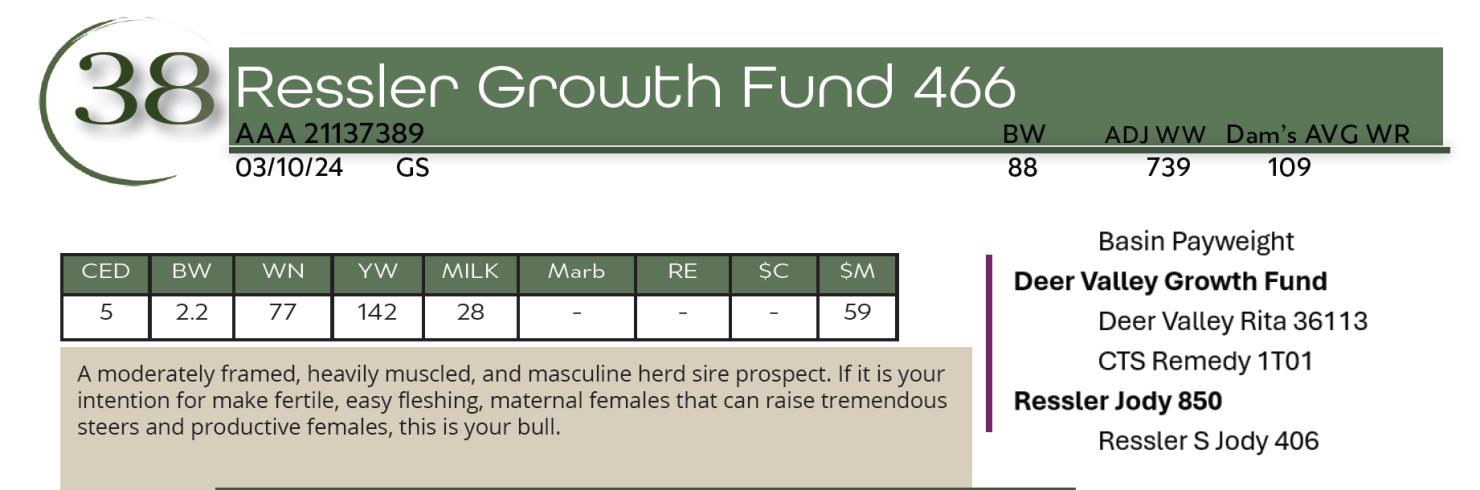 Lot 38: Ressler Ranch - Annual Production Sale | DVAuction