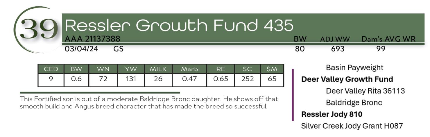 Lot 39: Ressler Ranch - Annual Production Sale | DVAuction