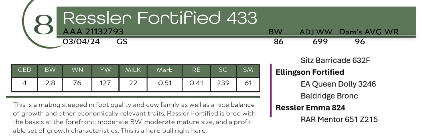 Lot 8: Ressler Ranch - Annual Production Sale | DVAuction