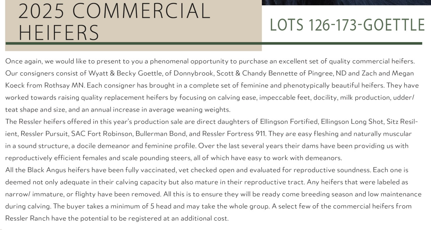 Lot 156: Ressler Ranch - Annual Production Sale | DVAuction