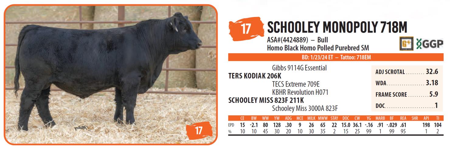 Lot 17: Schooley Cattle Simmental/SimAngus/Angus - Annual Simmental ...