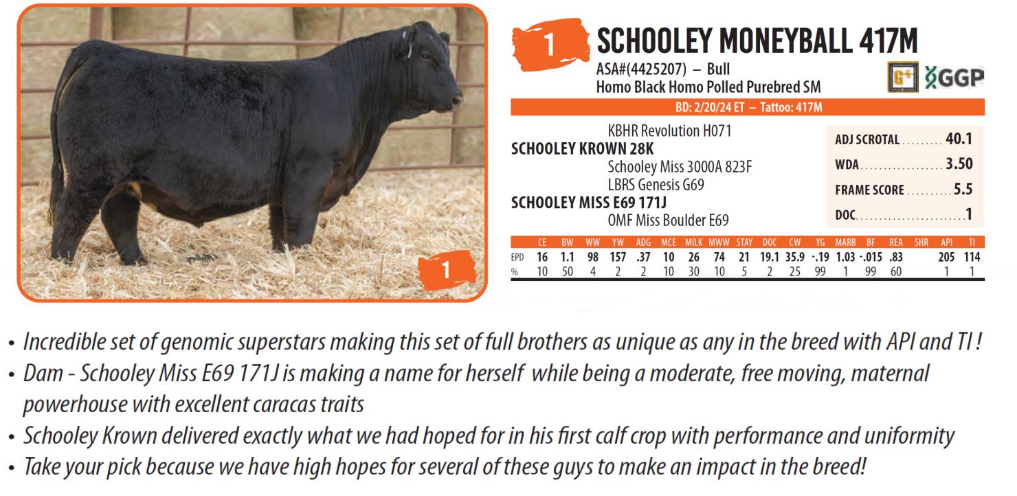 Lot 1: Schooley Cattle Simmental/SimAngus/Angus - Annual Simmental ...
