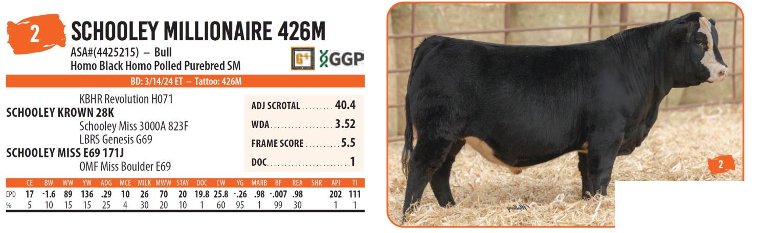 Lot 2: Schooley Cattle Simmental/SimAngus/Angus - Annual Simmental ...