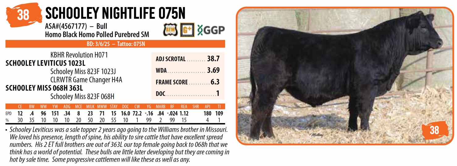 Lot 38: Schooley Cattle Company - Annual Simmental & Angus Bull ...
