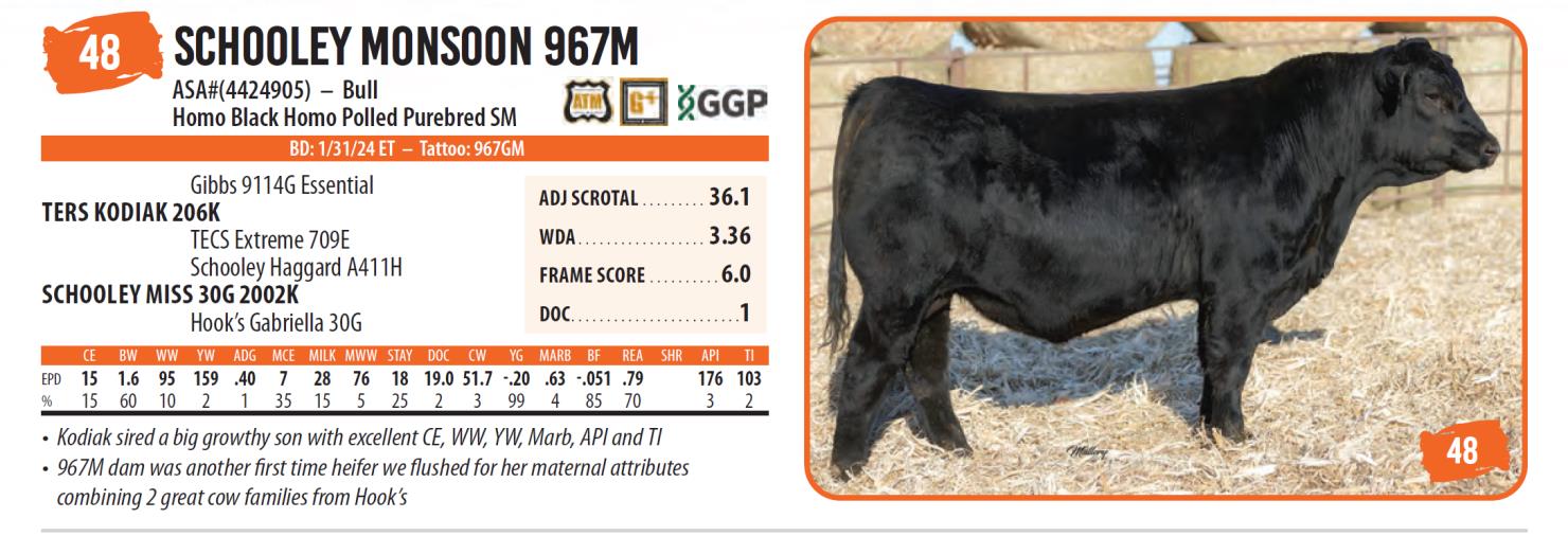 Lot 48: Schooley Cattle Simmental/SimAngus/Angus - Annual Simmental ...