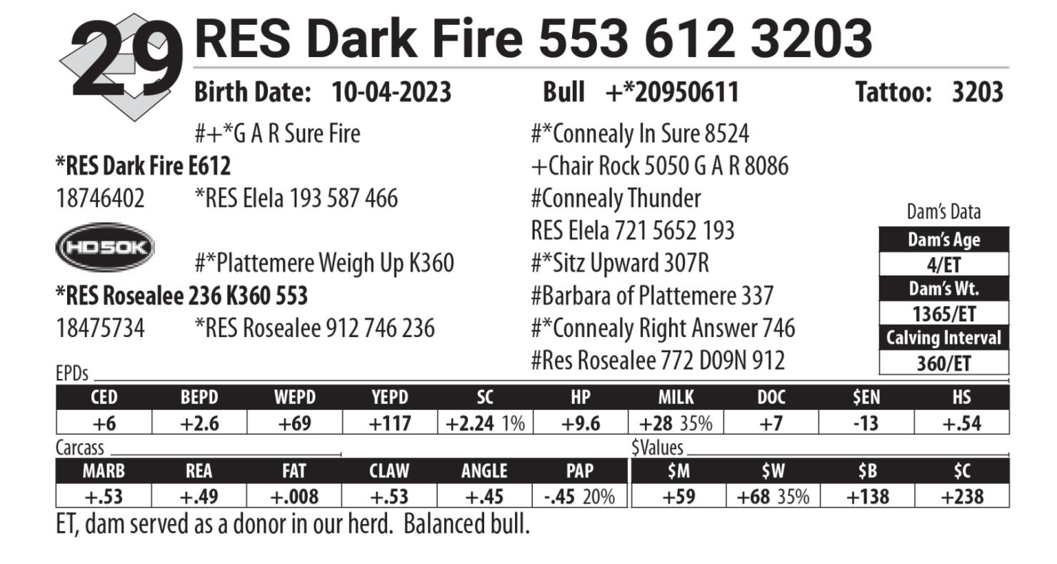 Lot 29: Robert Elliott and Sons Angus - 90th Annual Sale | DVAuction