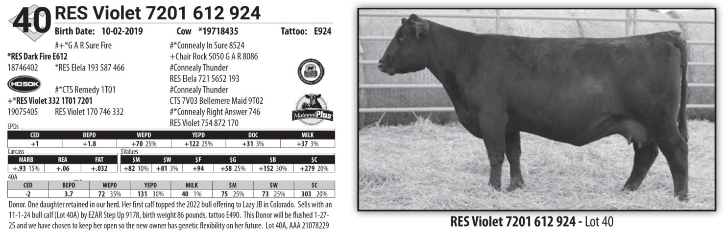Lot 40: Robert Elliott and Sons Angus - 90th Annual Sale | DVAuction