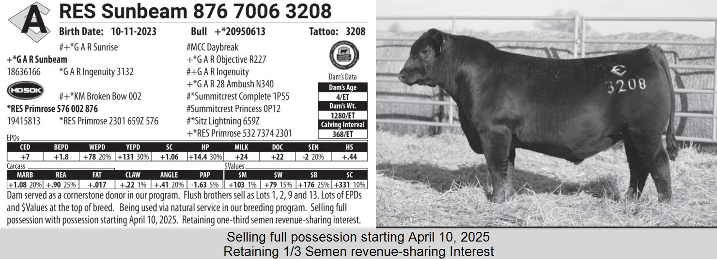 Lot a: Robert Elliott and Sons Angus - 90th Annual Sale | DVAuction