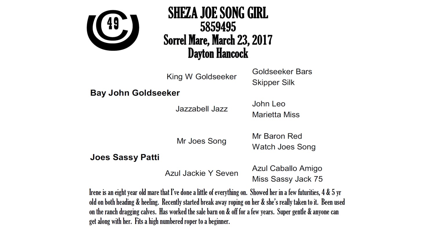 Lot 49: Cudd Quarter Horses - Annual Production Sale | DVAuction