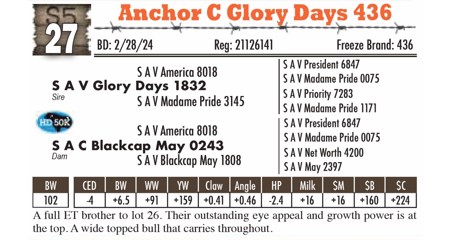 Lot 27: Tielke's S5 Ranch - Angus Production Sale | DVAuction