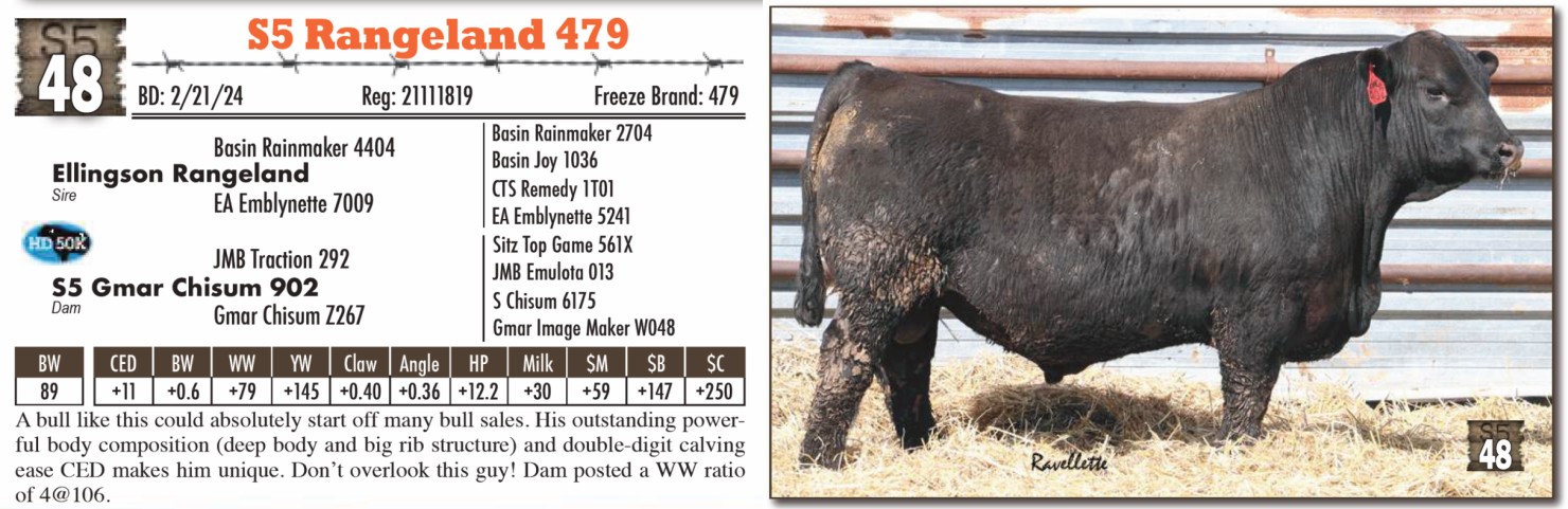 Lot 48: Tielke's S5 Ranch - Angus Production Sale | DVAuction