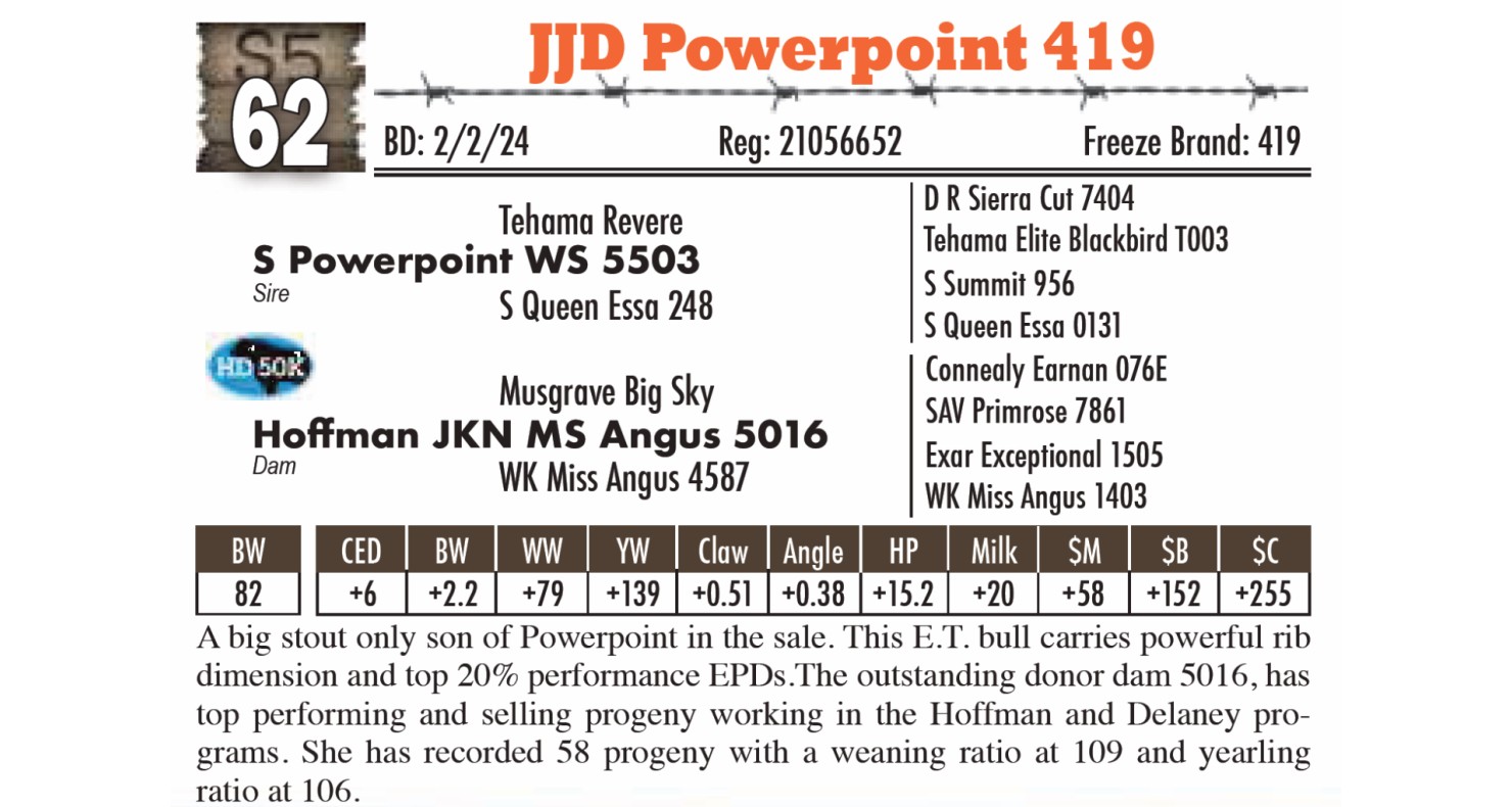 Lot 62: Tielke's S5 Ranch - Angus Production Sale | DVAuction