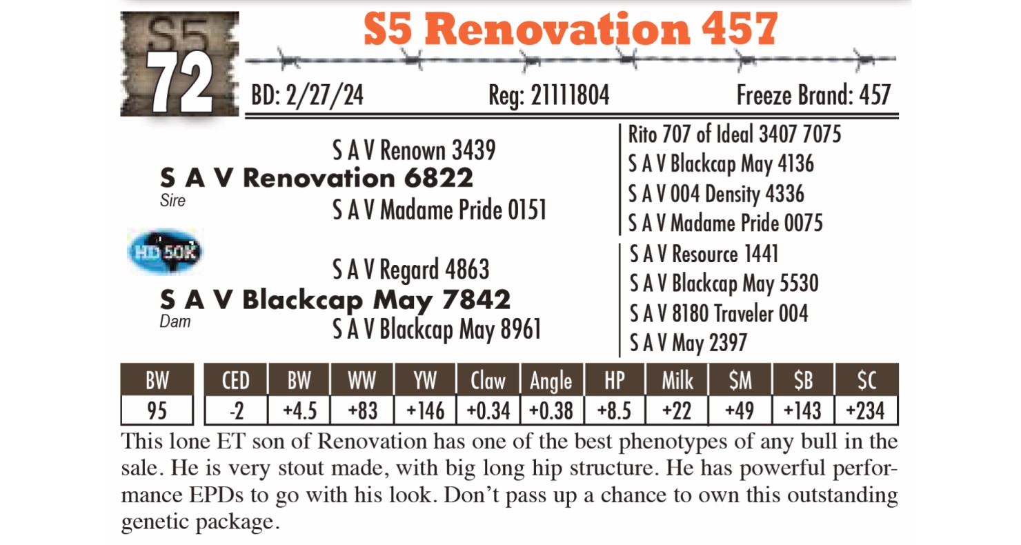 Lot 72: Tielke's S5 Ranch - Angus Production Sale | DVAuction
