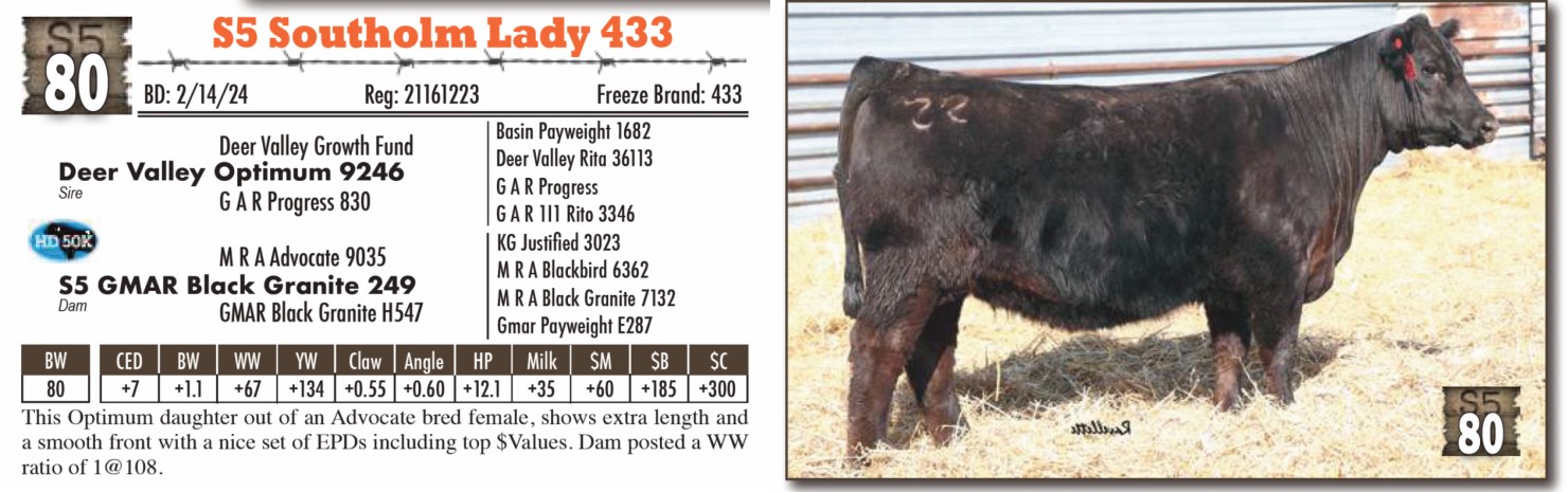 Lot 80: Tielke's S5 Ranch - Angus Production Sale | DVAuction