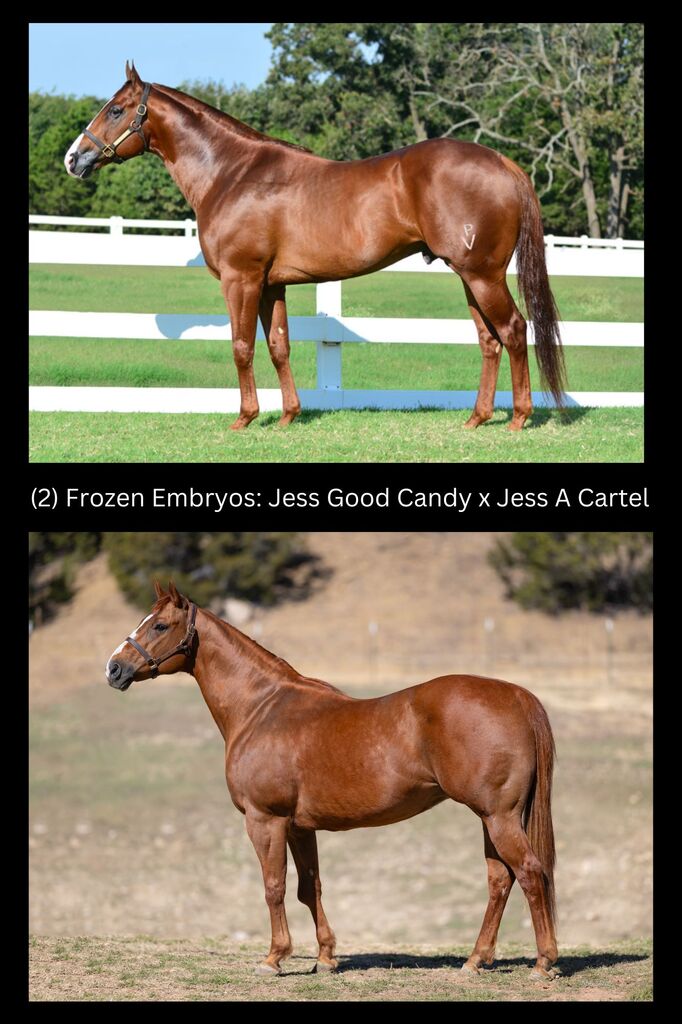 Lot 13D - Jess Good Candy/ Jess A Cartel: Heritage Place - 2nd Annual ...