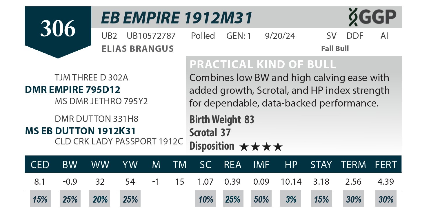Lot 306: CDP Brangus - Bull & Commercial Female Sale | DVAuction