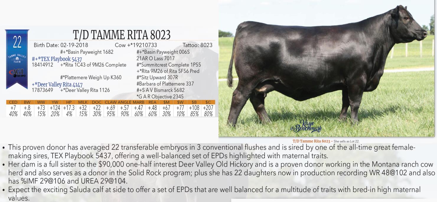 Lot 22: Myers Angus / Tamme Valley Angus - Family Values Female ...