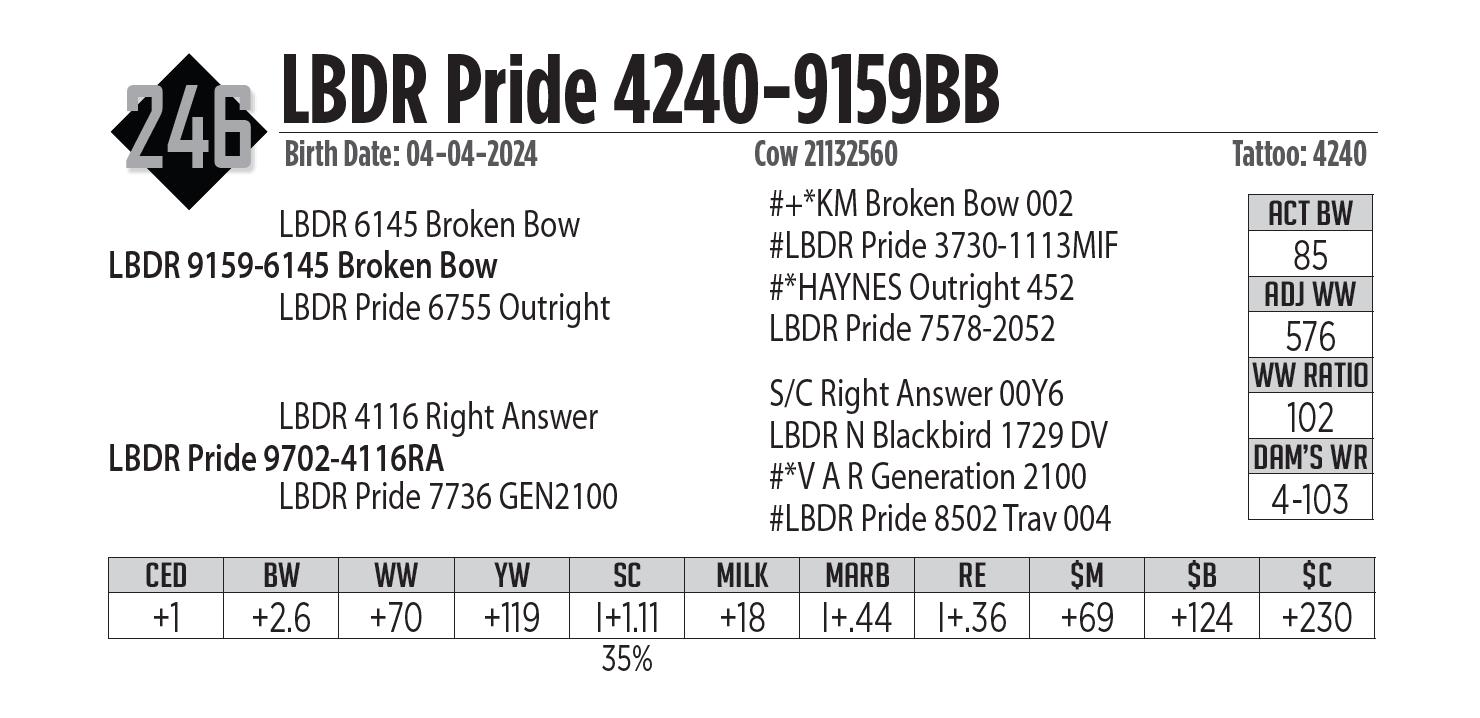 Lot 246: Lazy Black Diamond Ranch - 5th Annual Angus Production Sale ...