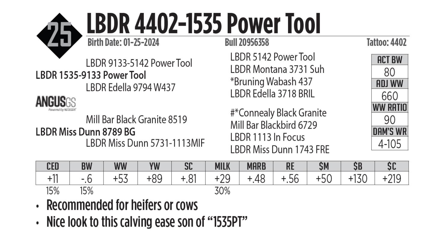 Lot 25: Lazy Black Diamond Ranch - 5th Annual Angus Production Sale ...