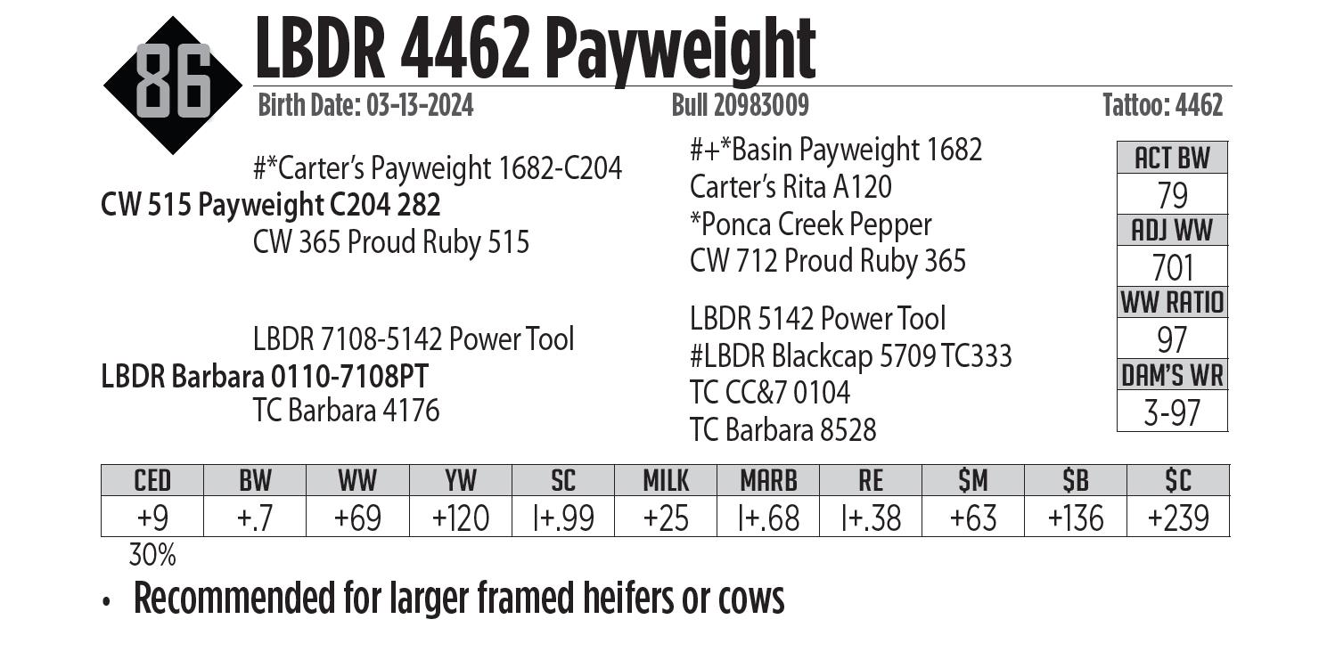Lot 86: Lazy Black Diamond Ranch - 5th Annual Angus Production Sale ...