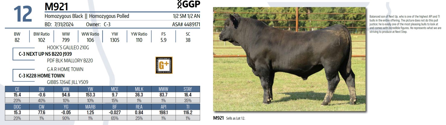Lot 12: Next Step Cattle Company - 13th Annual "Boot Brand" Genetics ...