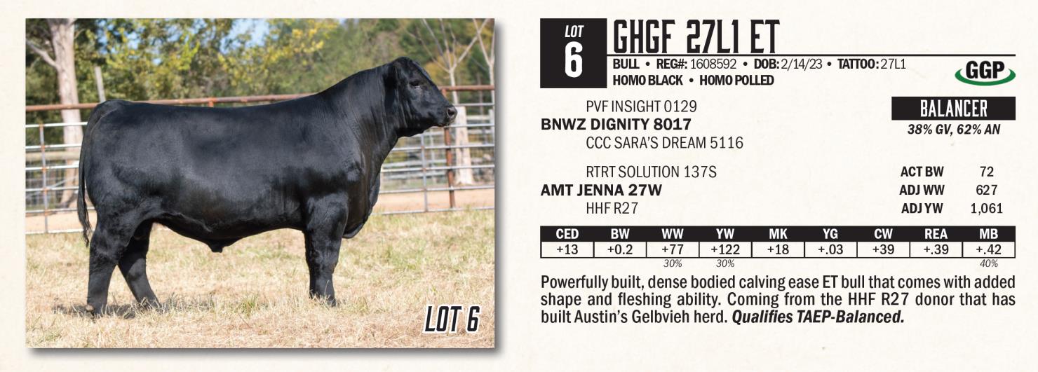 Lot 6: Boys from the South - Gelbvieh and Balancer Bull Sale - Gelbvieh ...