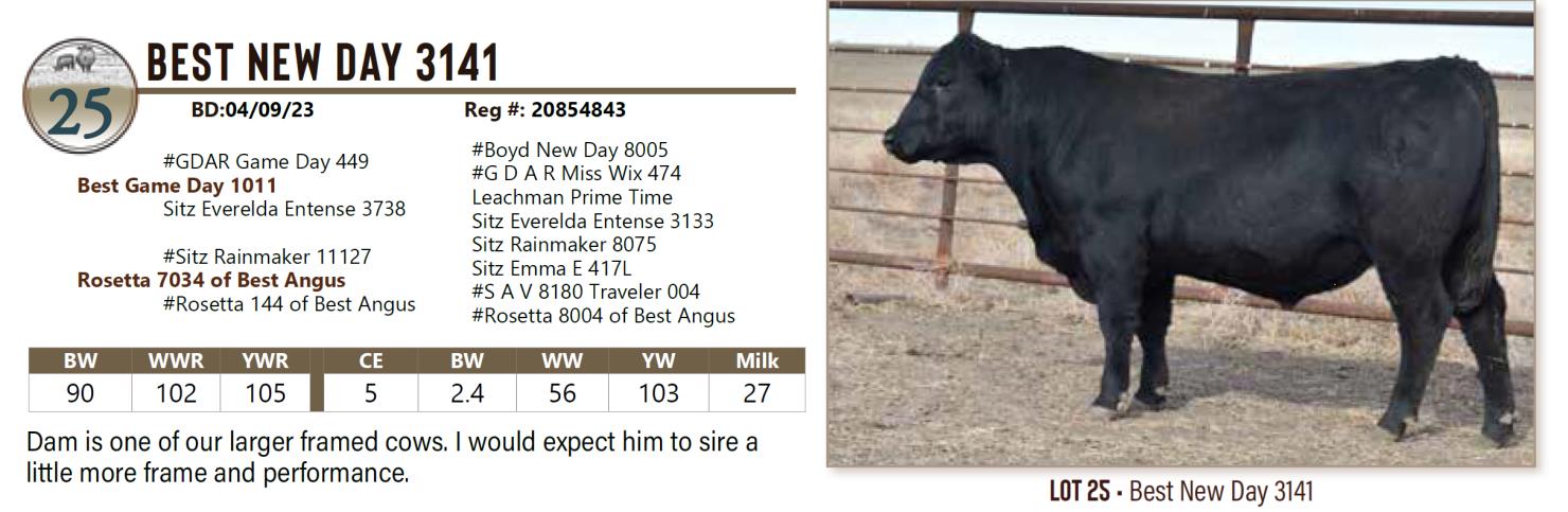 Lot 25: Badlands Angus Alliance - Annual Production Sale | DVAuction