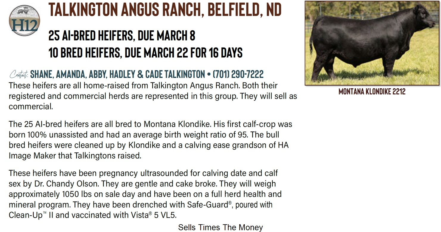 Lot h12: Badlands Angus Alliance - Annual Production Sale | DVAuction