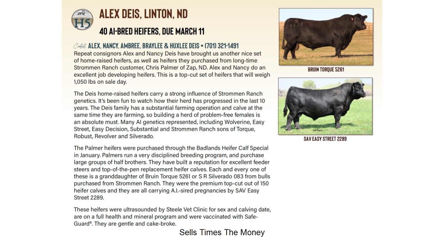 Lot h5: Badlands Angus Alliance - Annual Production Sale | DVAuction