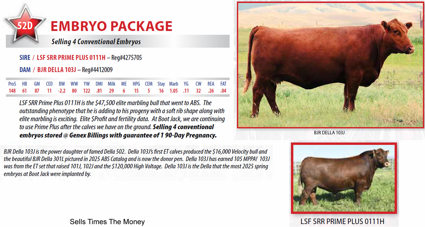 Lot 52d: Red Revolution - Cattlemen's Congress - The Red Revolution ...