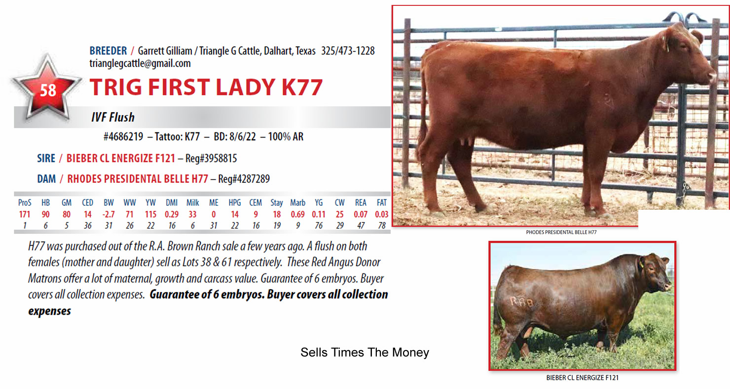 Lot 58: Red Revolution - Cattlemen's Congress - The Red Revolution Sale ...