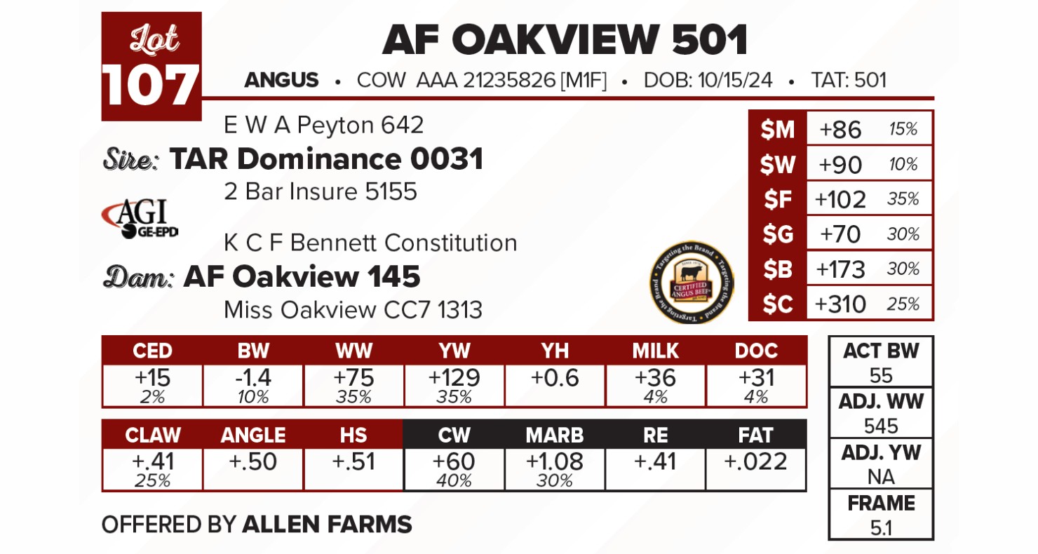 Lot 107: EBS Farms - 17th Annual Bull & Female Sale | DVAuction