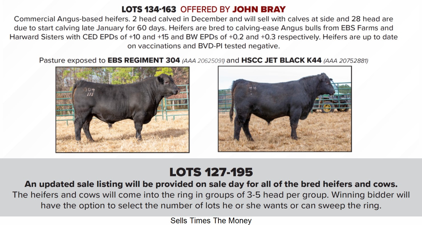 Lot 157: EBS Farms - 17th Annual Bull & Female Sale | DVAuction